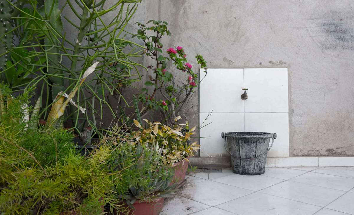 How To Keep Safe During the Dengue Season | Crown Asia