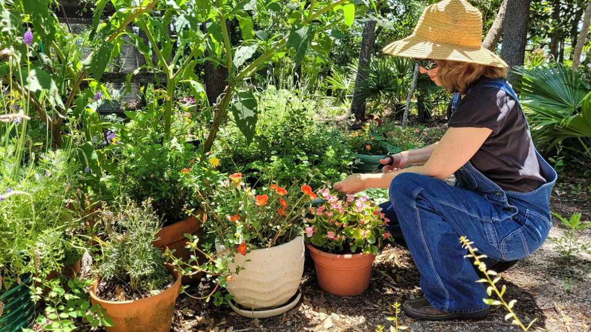 Get Started with Urban Gardening | Crown Asia