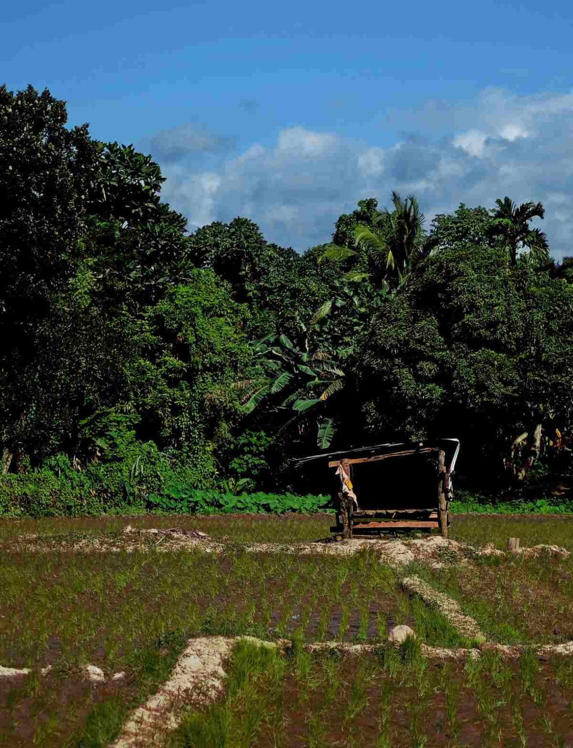 What to Know About the Province of Laguna | Crown Asia