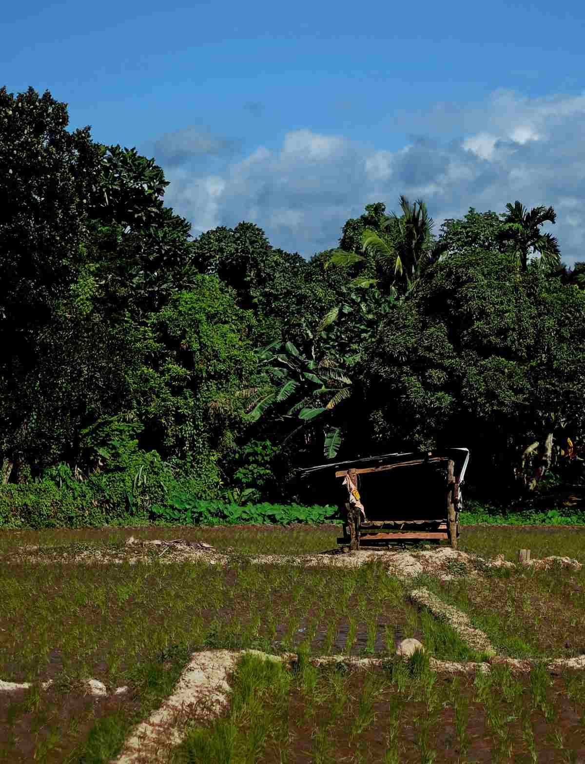 What to Know About the Province of Laguna | Crown Asia