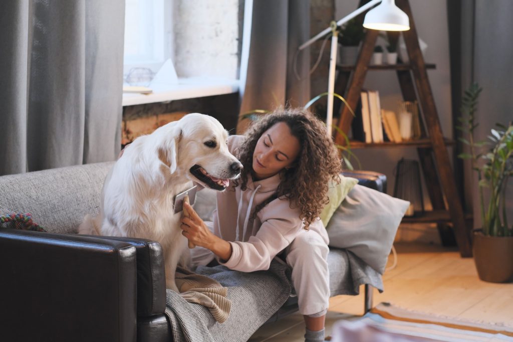 Getting a Pet for your Condo Lifestyle | Crown Asia