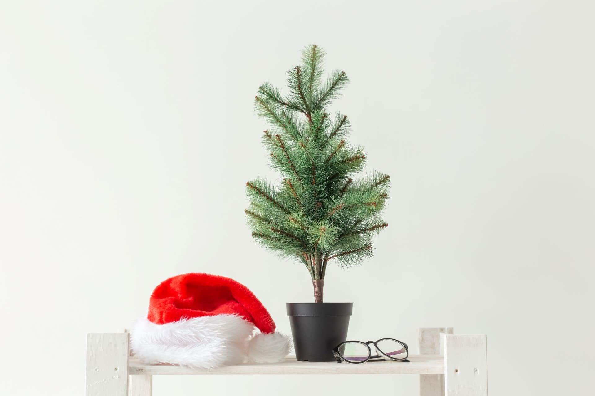 Christmas Decoration Ideas for your Condo | Crown Asia