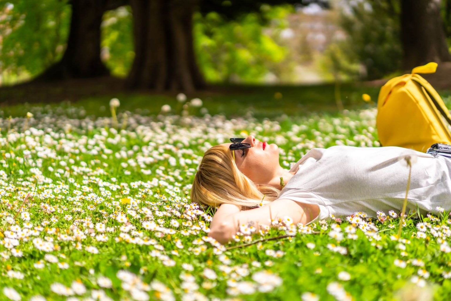 The Art of Unwinding | Crown Asia