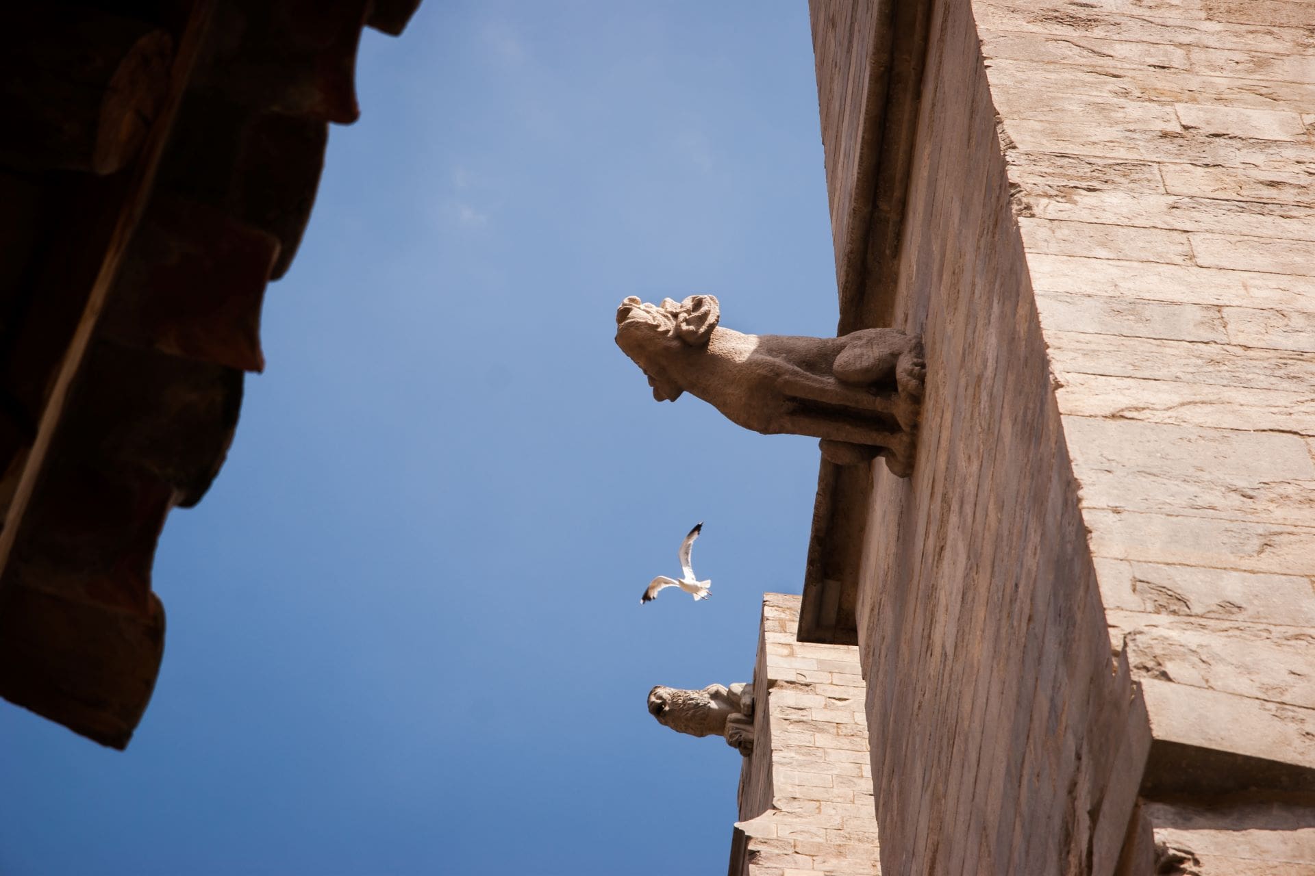 What Is A Gargoyle? | Crown Asia