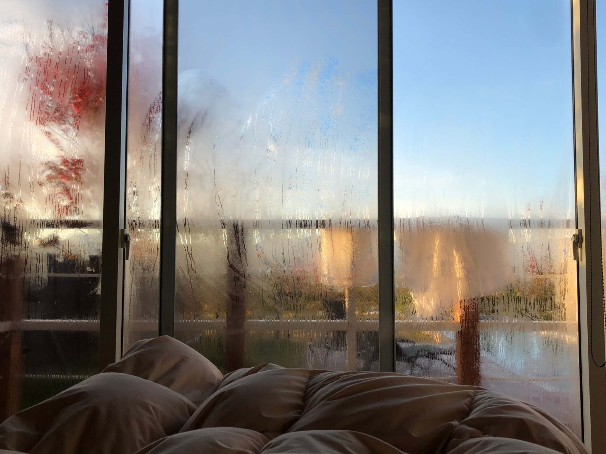 How to Control Humidity at Home: Grandeur Preserved Through Moisture ...