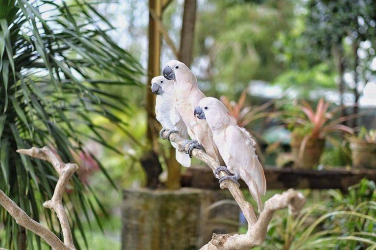 Nature Trip in Cavite: Exclusive Hangout Spots Amidst Breathtaking ...